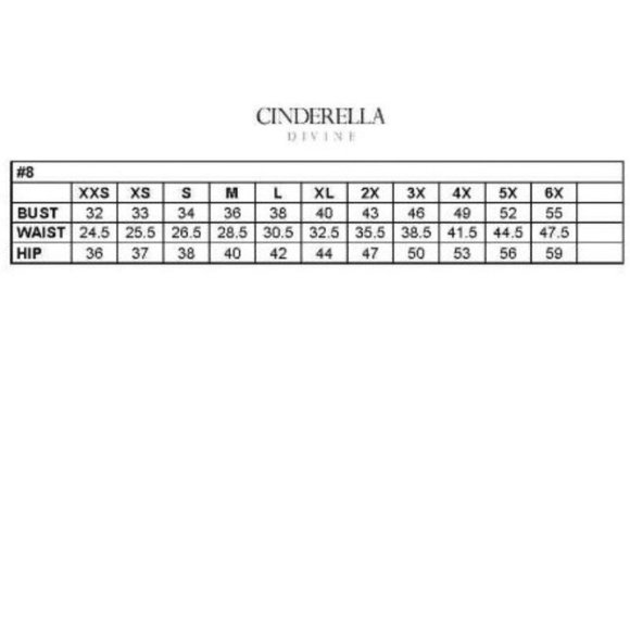 Cinderella | Dresses | Cinderella Long Sleeve Chiffon Dress Multisizes ...